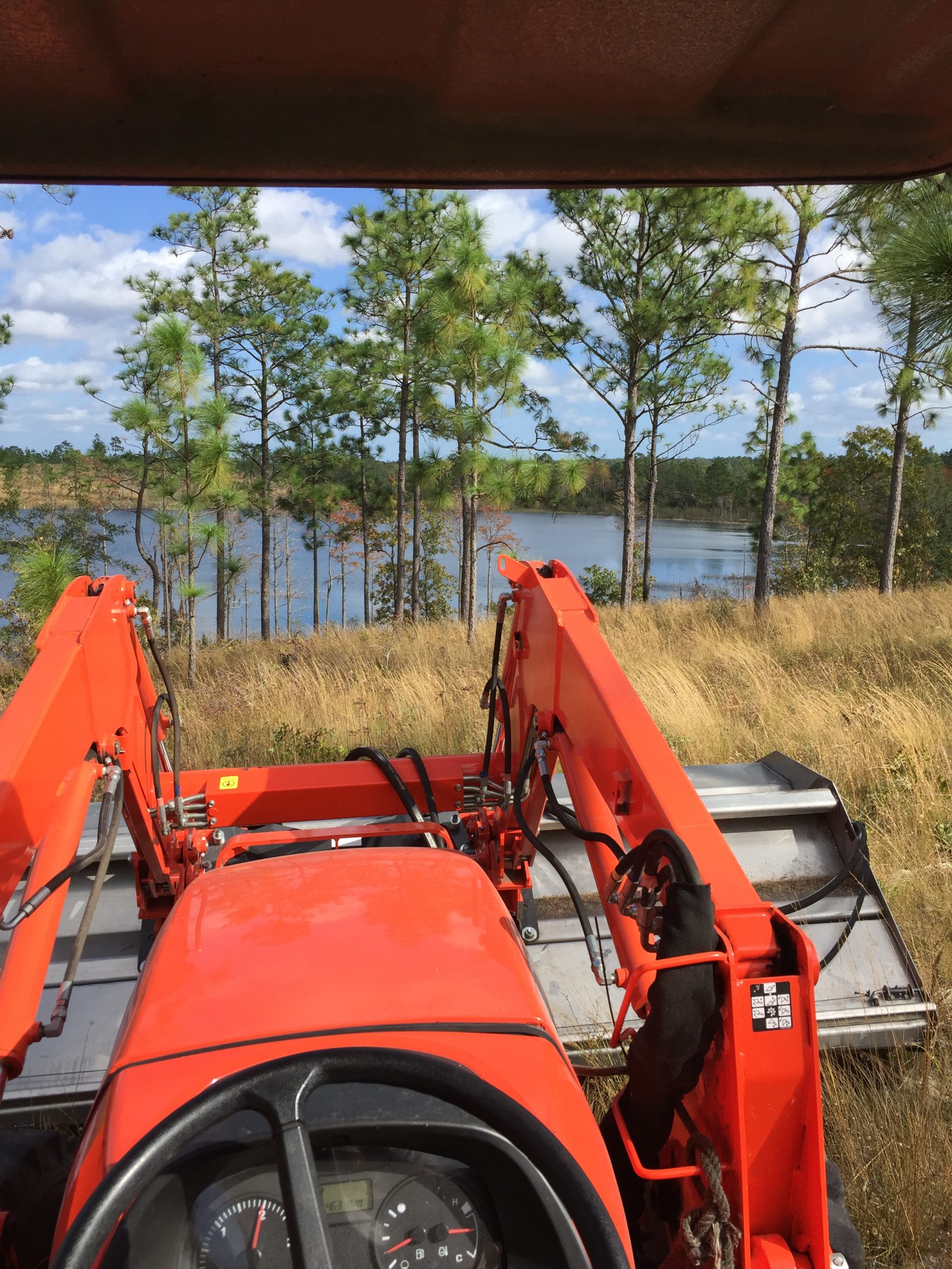 Native Seed Harvest NW Florida - 2020 - Southern Habitats